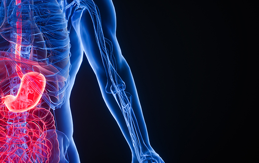 Highlights from the ASCO 2023 GI Cancers Symposium - ACE Oncology